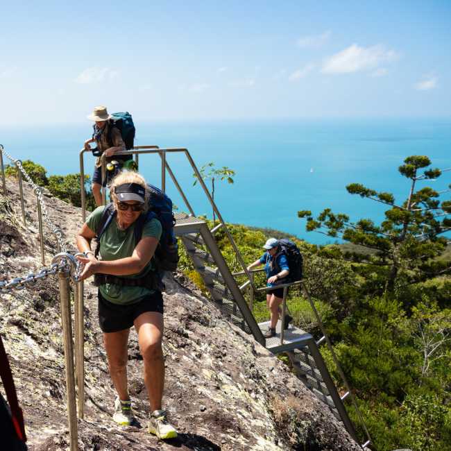 Ngaro Track, QLD | Official Bookings & Walk Information