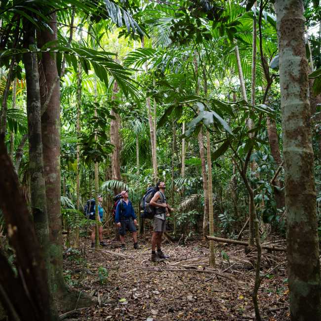 Ngaro Track, QLD | Official Bookings & Walk Information
