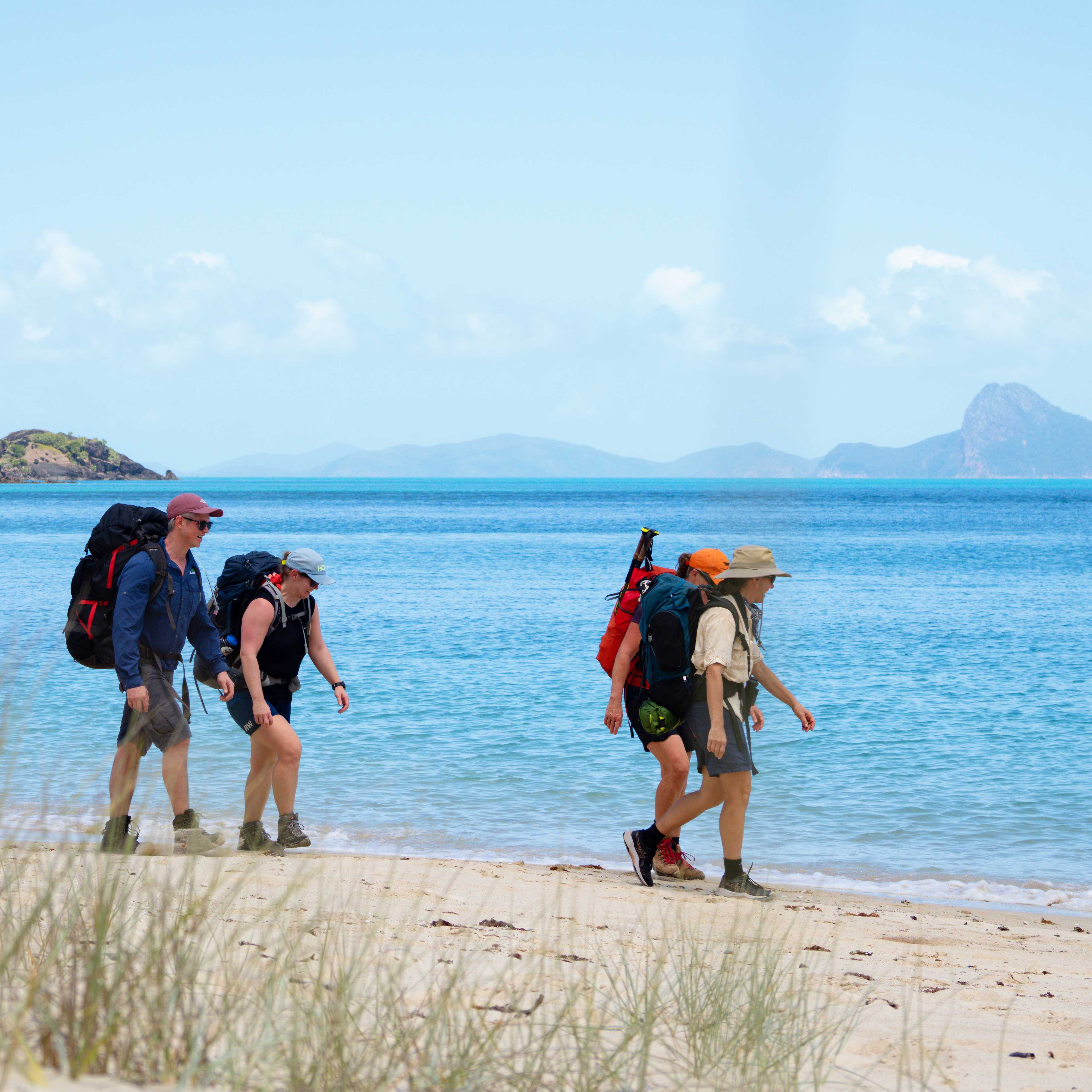 Plan Your Ngaro Track Walk